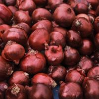 China 3-10cm and up White Onions The Essential Ingredient for Your Vegetable Recipes for sale