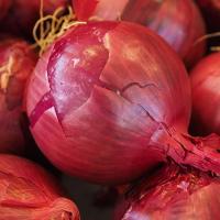 China 3-10cm and up White Onions The Essential Ingredient for Your Vegetable Recipes for sale