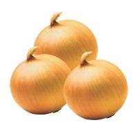 China Fresh Onion 25kg 25kg Onion for Kuwait Market Vegetables Instruction for sale
