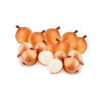 China Fresh Onion 25kg 25kg Onion for Kuwait Market Vegetables Instruction for sale