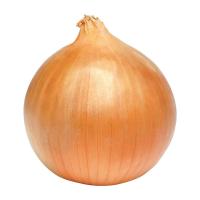 China Non-Peeled Liliaceous Vegetables Fresh Yellow Onion Exported to Australia Market for sale