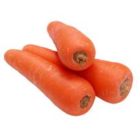 China Chinese fresh carrot factory fresh 2023 new crop vegetables wholesale fresh carrots price for sale