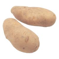 China export Potato Professional potato exporter Factory Potato Price for sale