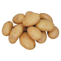 China export Potato Professional potato exporter Factory Potato Price for sale