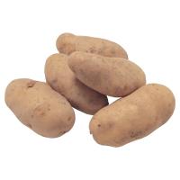 China fresh potato price per ton For Wholesale High quality for sale