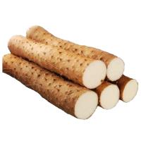 China Chinese New Harvested Fresh Yam fresh white yam fresh vegetables for sale