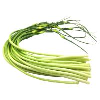 China Fresh Garlic Shoot in new crop Chinese Garlic Stem Sprout for sale