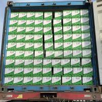 China Fresh Garlic Shoot in new crop Chinese Garlic Stem Sprout for sale