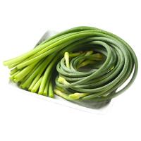 China Fresh Garlic Shoot Sprout in Crop Chinese Garlic Stem for Year Round Availability for sale
