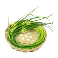China Year Round Availability of Chinese Garlic Stem Fresh Sprout in Cryostat Storage Type for sale