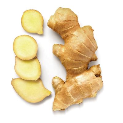 China Ginger fresh dried ginger export with high quality factory price for sale