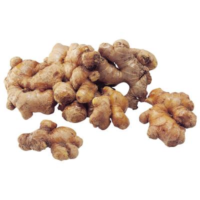 China New Fresh Ginger Wholesale Dry Ginger In Bulk From Chinese Ginger Suppliers For Export for sale
