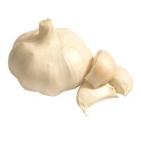 China 2023 new crop Chinese fresh garlic manufacturers supply normal white pure white elephant garlic for sale