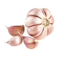 China Normal White Garlic for Africa Market Fresh Supply from Chinese Professional Garlic for sale
