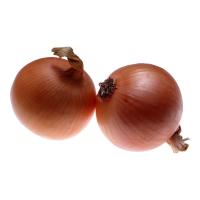 China Fresh Onion to Dubai from Supply Period Year Round Address for sale