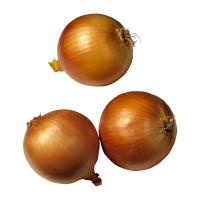China Fresh Onion to Dubai from Supply Period Year Round Address for sale