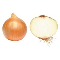 China Fresh Onion to Dubai from Supply Period Year Round Address for sale