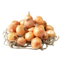 China Chinese fresh shallot Onion Color Yellow or Red Liliaceous Vegetables for sale