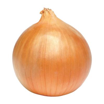 China 2023 Australia Market Fresh Non-Peeled Red Onion Yellow Onion with Superior-Grade for sale
