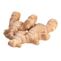 China Fresh Ginger from Farm and Ingredients N/A with 6 Months Shelf Life for sale