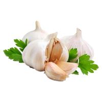 China Chinese Garlic Fresh Normal White and Pure White Supply from Garlic at for Vegetables for sale