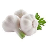China Chinese Garlic Fresh Normal White and Pure White Supply from Garlic at for Vegetables for sale