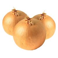 China New crop of red shallot onion with low price for export Chinese onion for sale