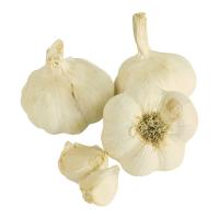 China 2023 Chinese fresh peeled garlic vacuum nitrogen packed peeled garlic cloves in jars for sale