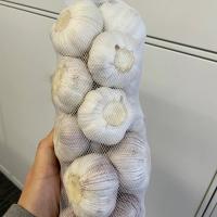 China Fresh New Chinese wholesale garlic in bulk for export in low price for sale