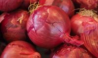 China wholesale onions by fresh red onion suppliers for export for sale