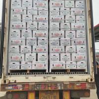 China High Quality Cheap Price Ginger Wholesale Fresh Fat Ginger Exporters for sale