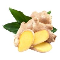 China Chinese Fresh Ginger Wholesale Supplier Fresh Ginger Dried Ginger Factory for sale