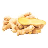 China Fresh Air-Dried Ginger and Young Ginger of Crop Ginger for Vegetable Consumption for sale