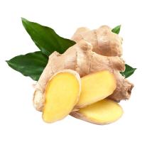 China new crop air dry Ginger with wholesale Ginger price and good Ginger quality for sale