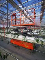 China High Flexibility  Scissor Lifts Vegetable Pickers For Greenhouse for sale