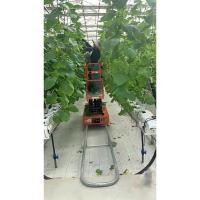 China Scissor Lift Vegetable Picker Rail Trolley GL Series 5.0m ~ 6.0m for sale