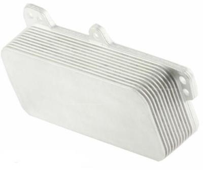 China New VW Touareg Transporter 2.5 Tdi Diesel Oil Cooler for sale