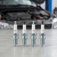 China Trustworthy Heat Resistant Standard Size Spark Plug for Agricultural Tools for sale