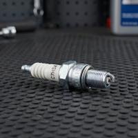 China Trustworthy Heat Resistant Standard Size Spark Plug for Agricultural Tools for sale