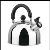 China popular style hot  stainless steel  and colorful tea pot,tea kettle,water kettle,water pot for sale