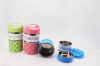 China 1080ML new style 2 layers lunch box & stainless steel combine plastic food carrier & red ,green ,blue food container for sale