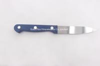 China Promotional gifts stainless steel steak knife with hard plastic handle sharp fruits paring knife for sale