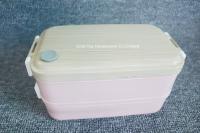 China Vacuum lunch box double layer bento box leakproof compartment food container meal airtight storage food containers for sale