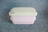 China Two layers stainless steel leak proof bento box with 2 compartments environmental protection storage boxes for sale