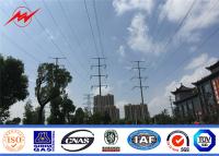 China OEM Communication Steel Tubular Pole Artifical Antenna Tower Cell Camouflaged Pole for sale