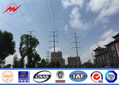 China OEM Communication Steel Tubular Pole Artifical Antenna Tower Cell Camouflaged Pole for sale