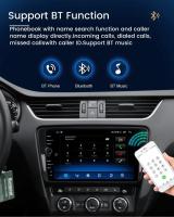 China Dashboard Placement 8