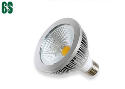 China COB Light Source 10W LED Par Lamp Aluminum Par30 LED Spotlight for sale