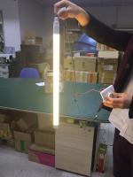 China 360 Degree 600mm 2 FT T8 Led Tube Lights Single Input High Brightness for sale