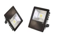 China Ultra Bright 50W Outdoor LED Floodlight 795lm-19500lm 50HZ-60HZ for sale